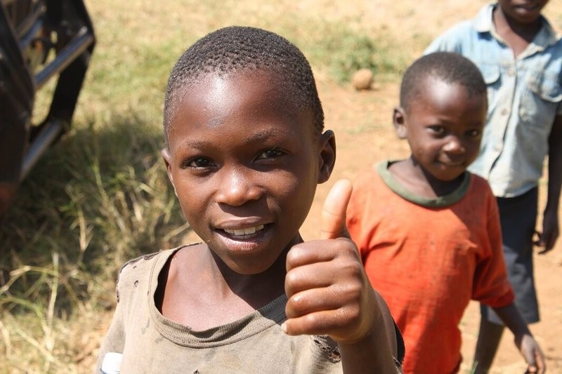 Helping Palms | Home